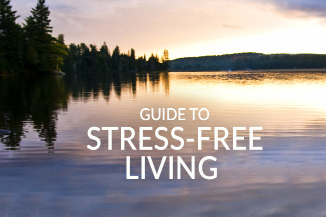 Guide To Stress-Free Living — Goodness Me!