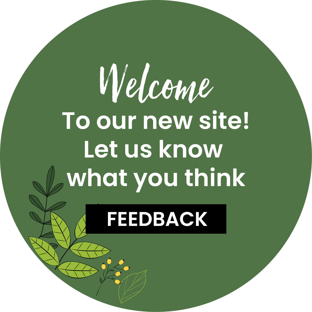 Flyer — Goodness Me!