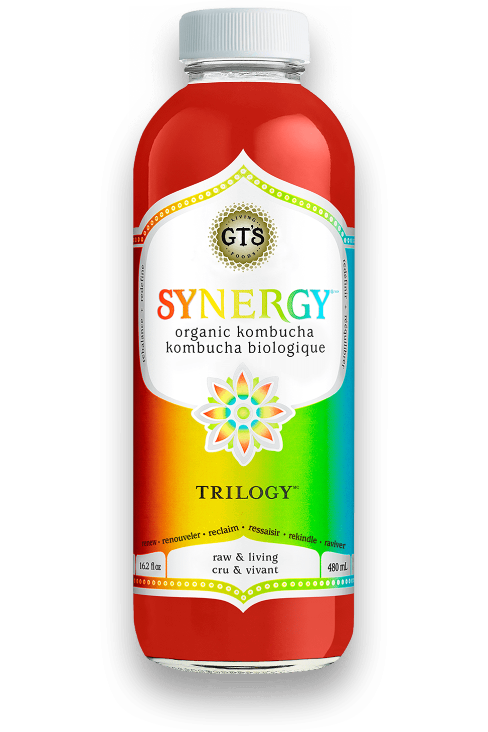 GT's Organic - Trilogy Kombucha Drink, 480 mL — Goodness Me!