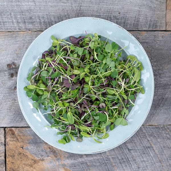 Cookstown Greens - Organic Hearty Micro Mix, 100 g — Goodness Me!