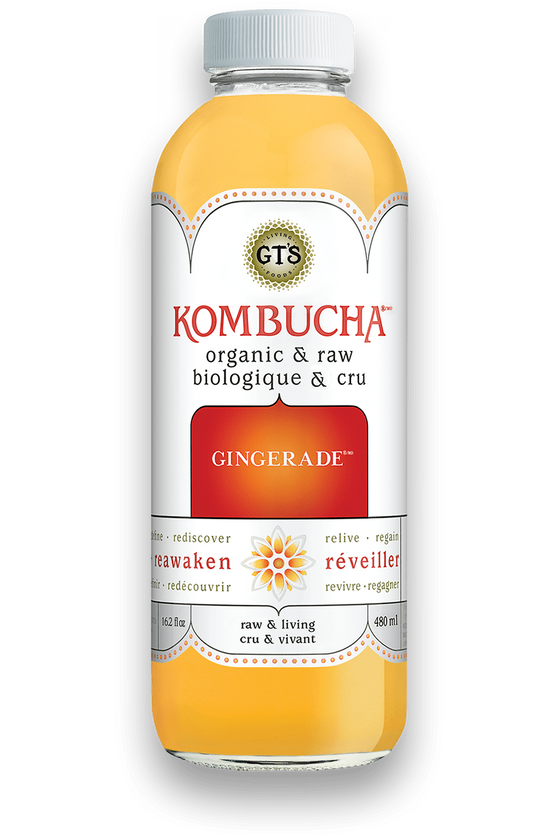 GT's Organic - Gingerade Kombucha Drink, 480 mL — Goodness Me!